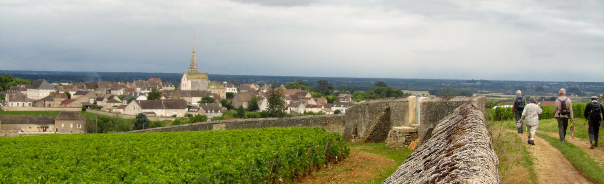 La Montagne de Meursault, Côte-d'Or, France - Map, Guide | AllTrails