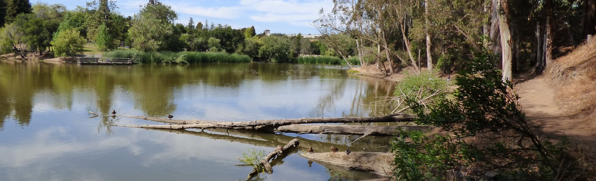 Don Castro Lake Whispering Creek and Shoreline Trail: 617 Reviews, Map ...