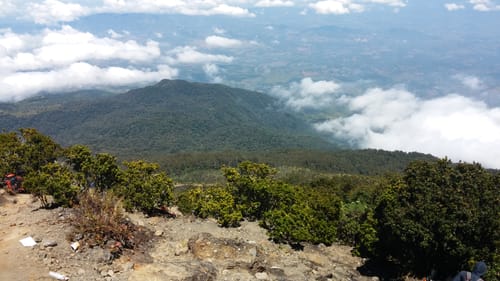 2023 Best 10 Trails in Taman Buru Gunung Masigit Kareumbi | AllTrails