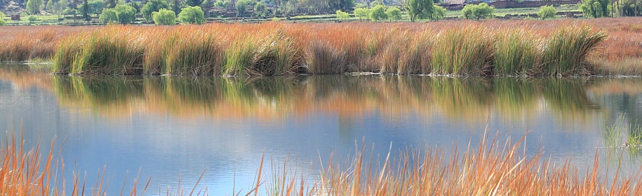 Lagunas de Lucre - Cusco, Peru | AllTrails