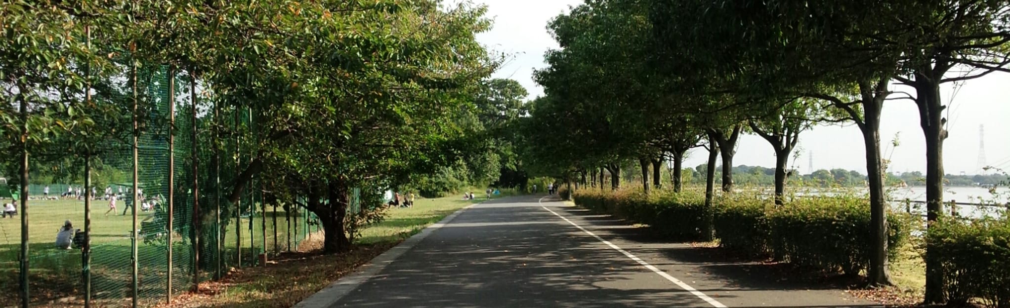 Aya Lake Loop, Saitama, Japan - Map, Guide | AllTrails