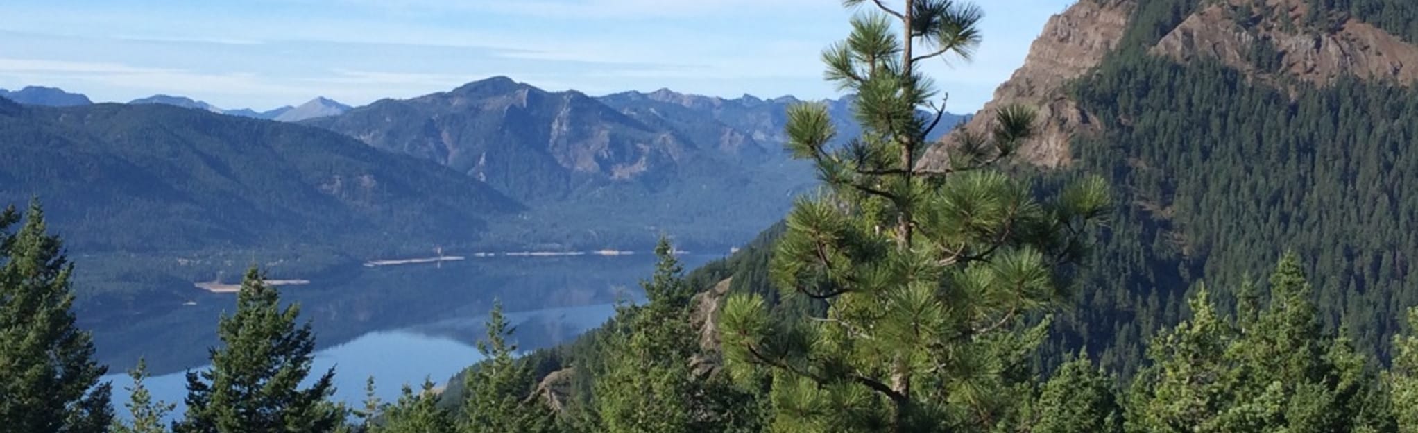 Easton Ridge Trail: 365 Reviews, Map - Washington | AllTrails