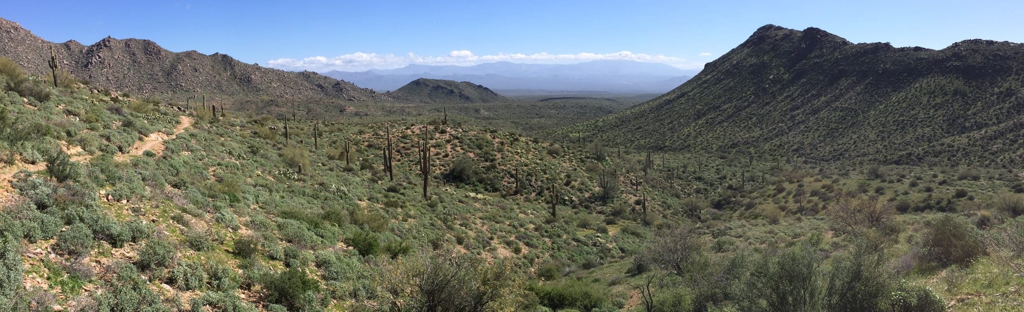 Gateway, Bell Pass, and Windgate Loop Trail, Arizona - 1,588 Reviews ...