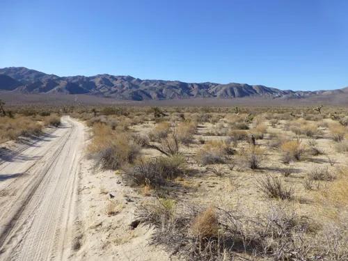 2023 Best 10 Off Road Driving Trails in Joshua Tree National Park ...