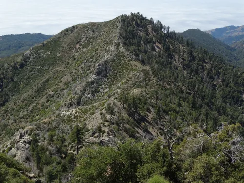 10 Best Forest Trails in Ventana Wilderness | AllTrails