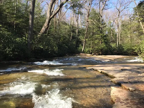 Best 10 Hiking Trails in Linn Run State Park | AllTrails