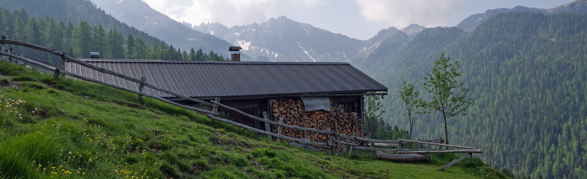 Malga Nassere - Malga Consèria, Trentino, Italy - Map, Guide | AllTrails