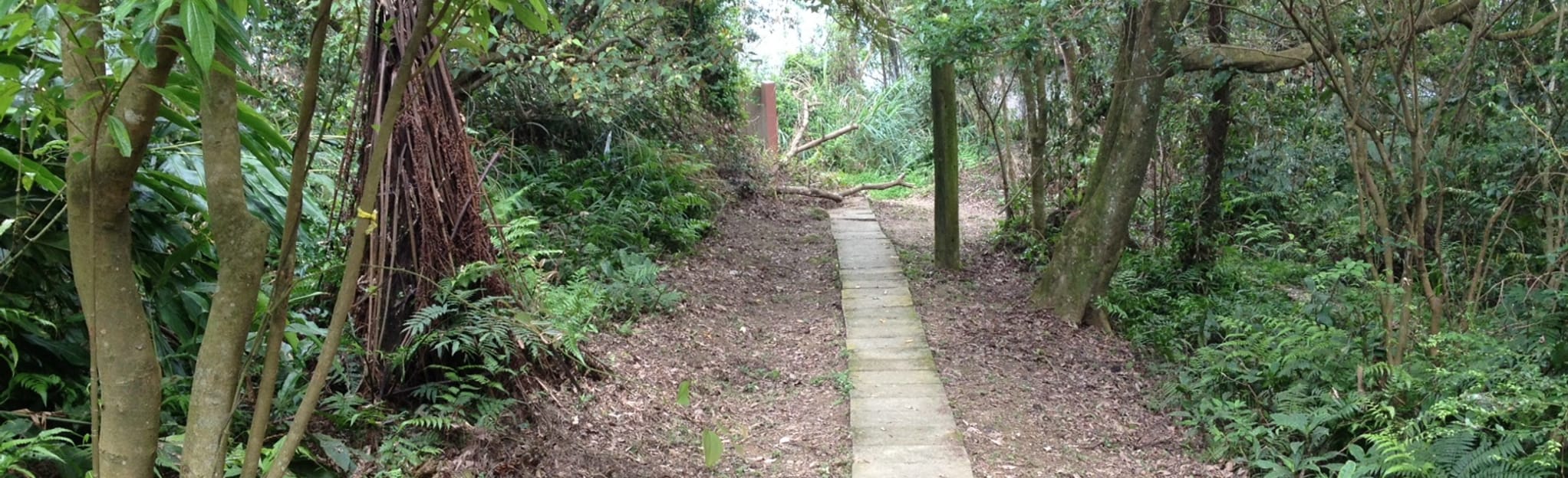 Mount Shimen Loop, Taoyuan, Taiwan - 8 Reviews, Map | AllTrails