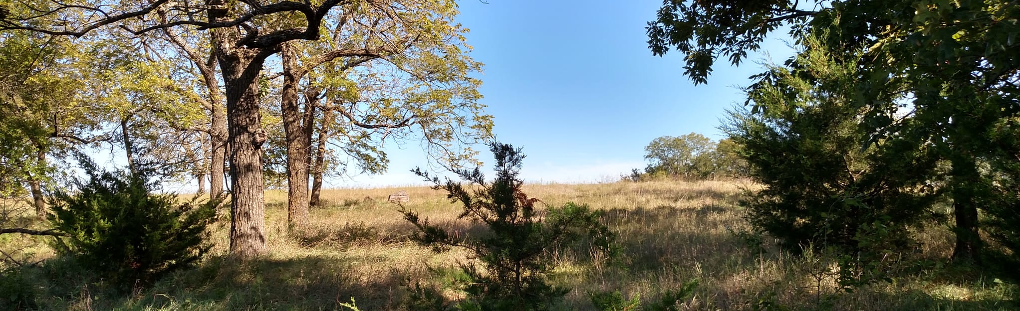 Shawnee Mission Park Violet and Red Trail, Kansas - 805 Reviews, Map ...