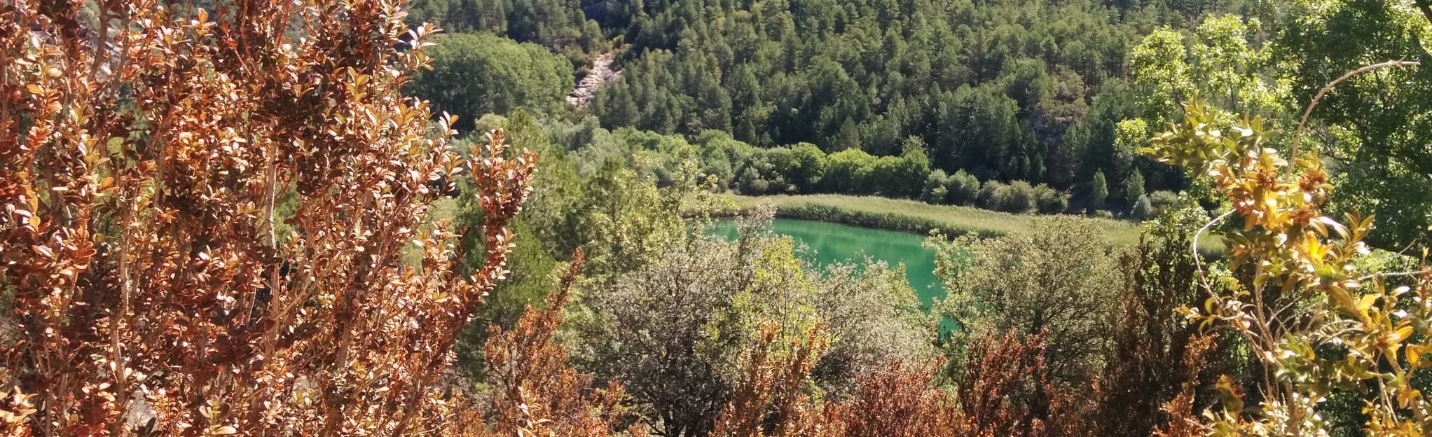Megina - Laguna Taravilla - Peralejos de las Truchas: 35 foto's ...