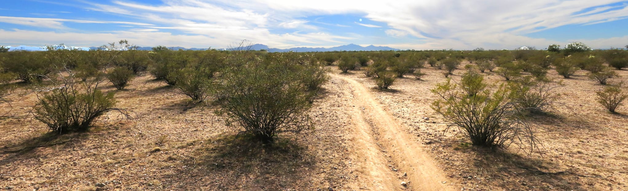 Bunny Loop, Arizona - 491 Reviews, Map | AllTrails