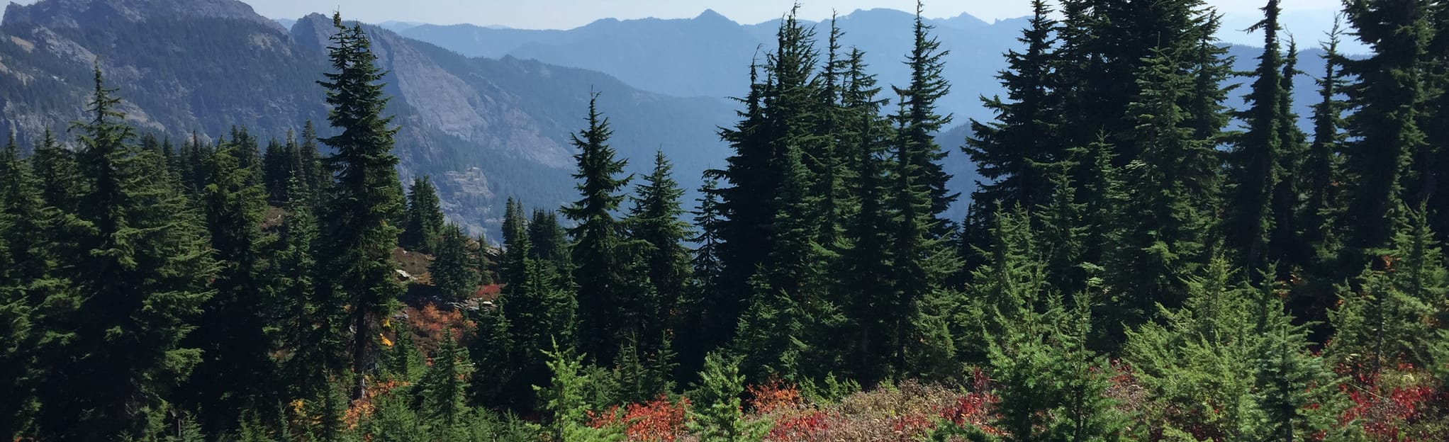 Alta Mountain South Ridge Climber's Trail: 260 Reviews, Map ...