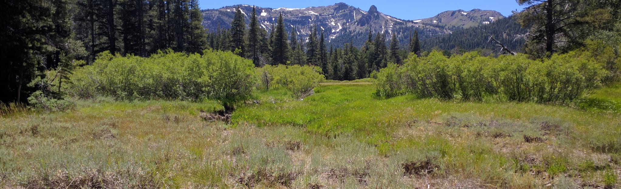 Pct Golden Canyon Wolf Creek Pass And Disaster Creek Loop 2 Reviews
