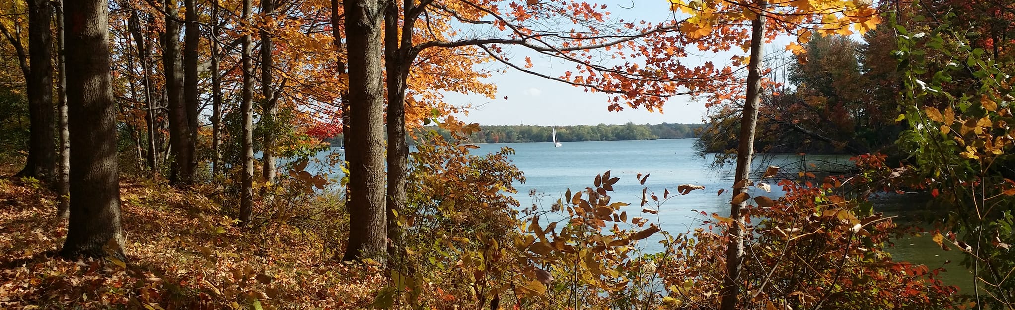 Rocks and Roots South Loop: 880 Reviews, Map - Ohio | AllTrails