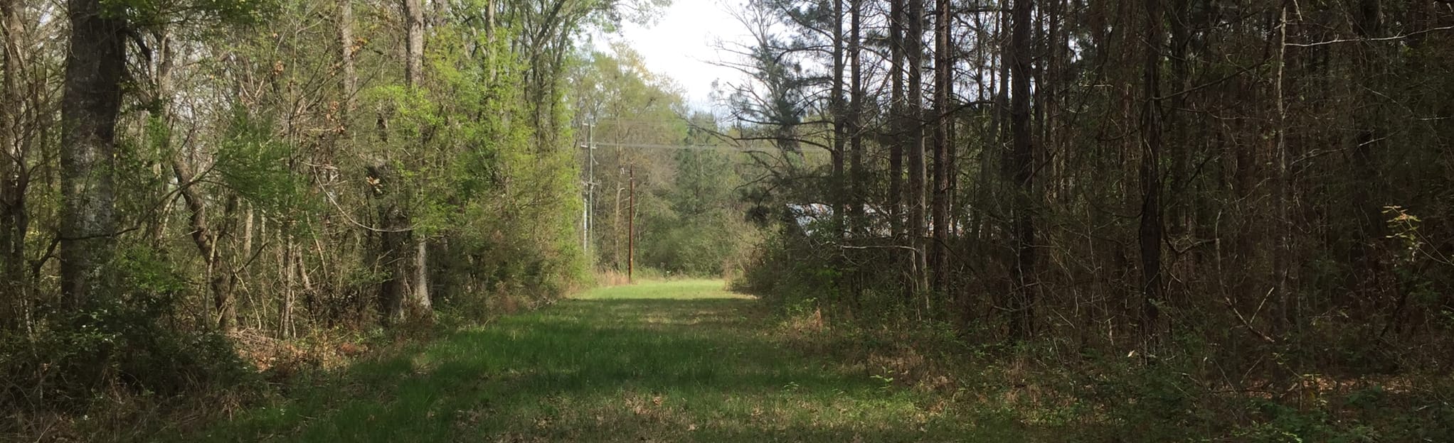 Zachary Community Park Trail: 4 Reviews, Map - Louisiana | AllTrails