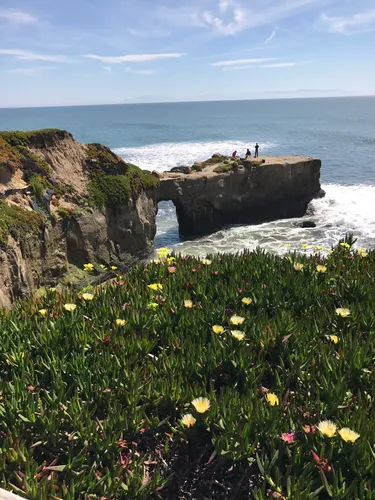 2023 Best 10 Trails and Hikes in Santa Cruz | AllTrails