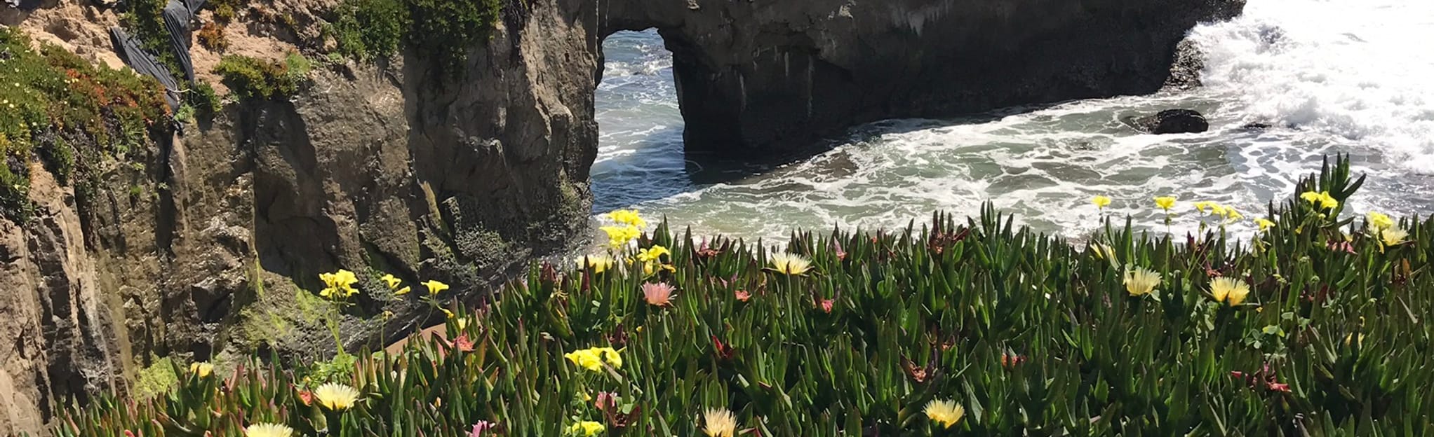 West Cliff Drive, California - 1,640 Reviews, Map | AllTrails