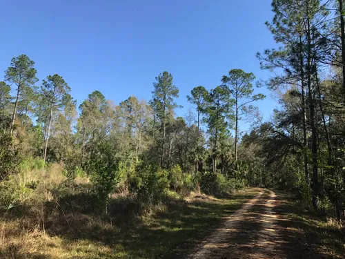 Best Hikes and Trails in Caravelle Ranch Wildlife Management Area ...