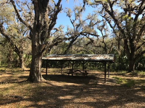 Best Hikes and Trails in Caravelle Ranch Wildlife Management Area ...