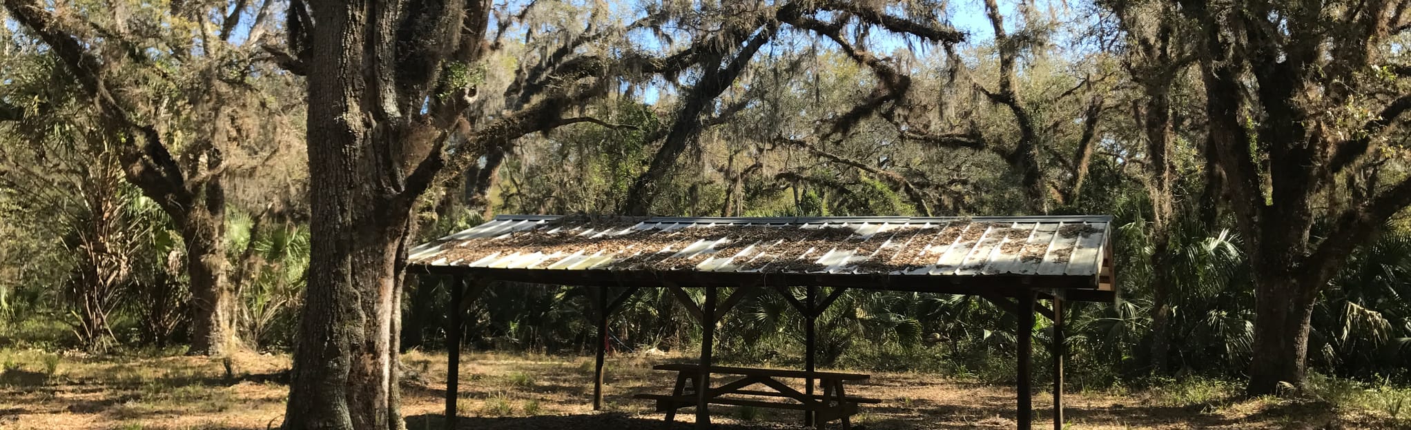 Caravelle Ranch White, Yellow, Red and Boundary Road | Map, Guide ...