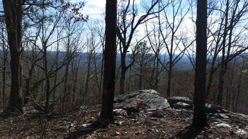 Best 10 Hikes and Trails in Cheaha Wilderness | AllTrails