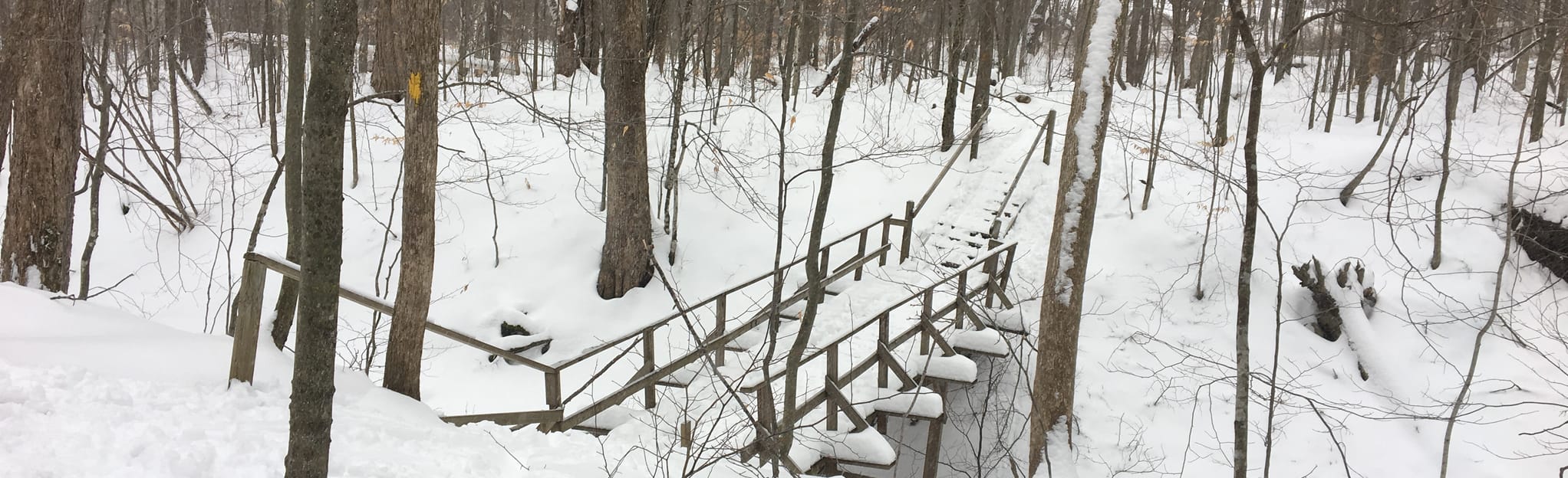 Field Farm Trail, Massachusetts - 159 Reviews, Map | AllTrails