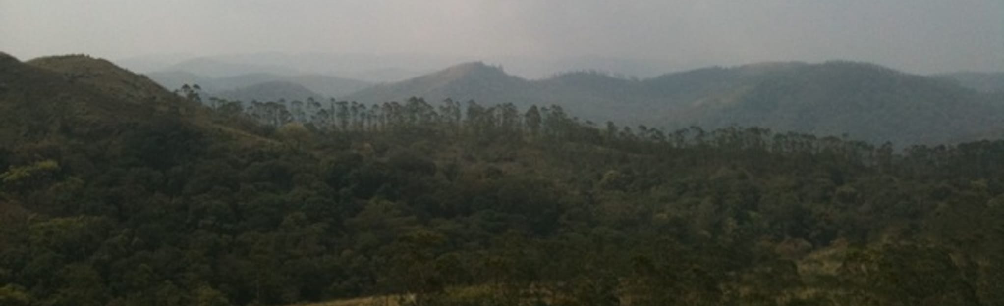 Kumily Loop, Kerala, India - Map, Guide | AllTrails