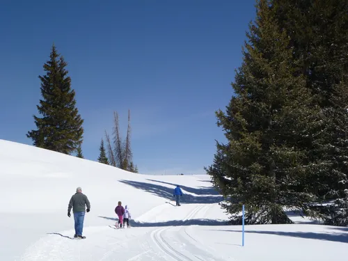 10 Best Snowshoeing Trails in Grand Mesa National Forest | AllTrails