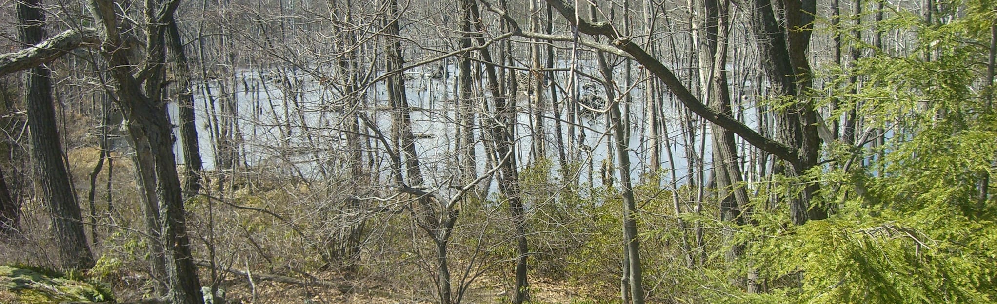 Terrace Pond Loop | Map, Guide - New Jersey | AllTrails