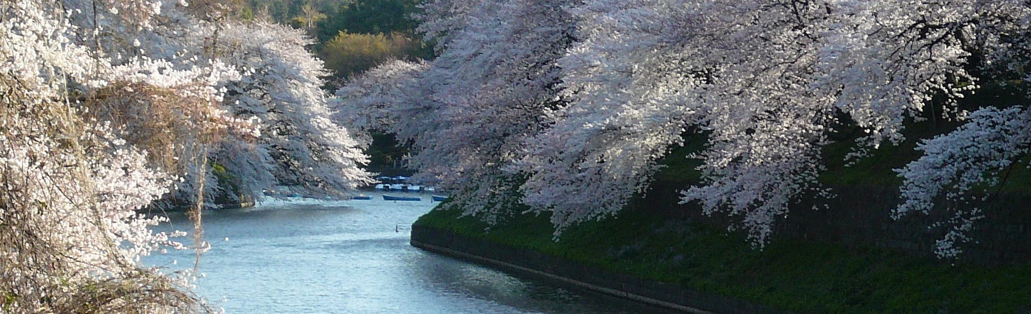 Imperial Palace - Ueno - Asakusa Loop: 1.980 foto's - Tokio, Japan ...