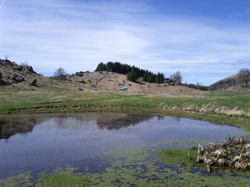 2023 Best 10 Trails and Hikes in Fregona | AllTrails