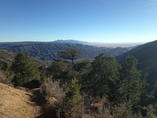 Best 10 Hikes and Trails in Sandia Mountain Wilderness | AllTrails