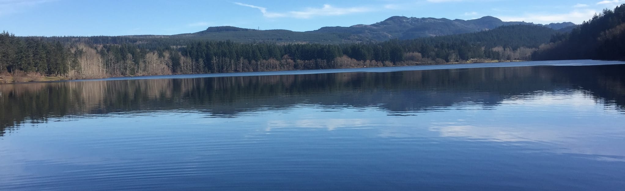 Lake Padden Singletrack, Washington - 1,370 Reviews, Map | AllTrails