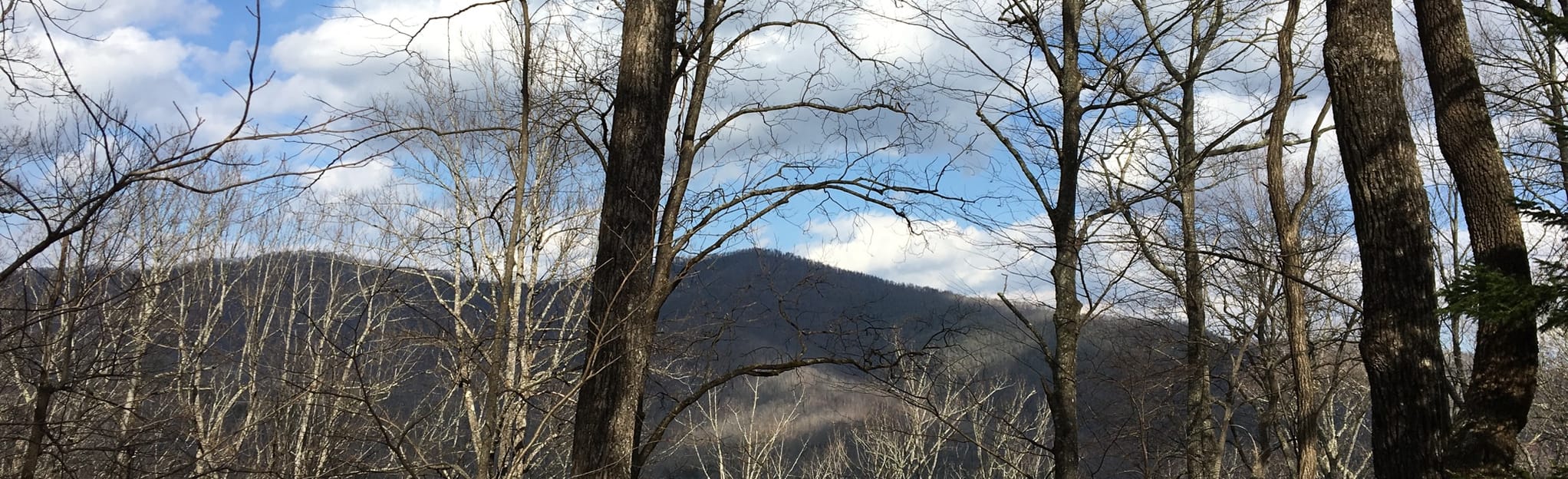 Perry Cove and Bennett Gap Loop, North Carolina - 83 Reviews, Map ...