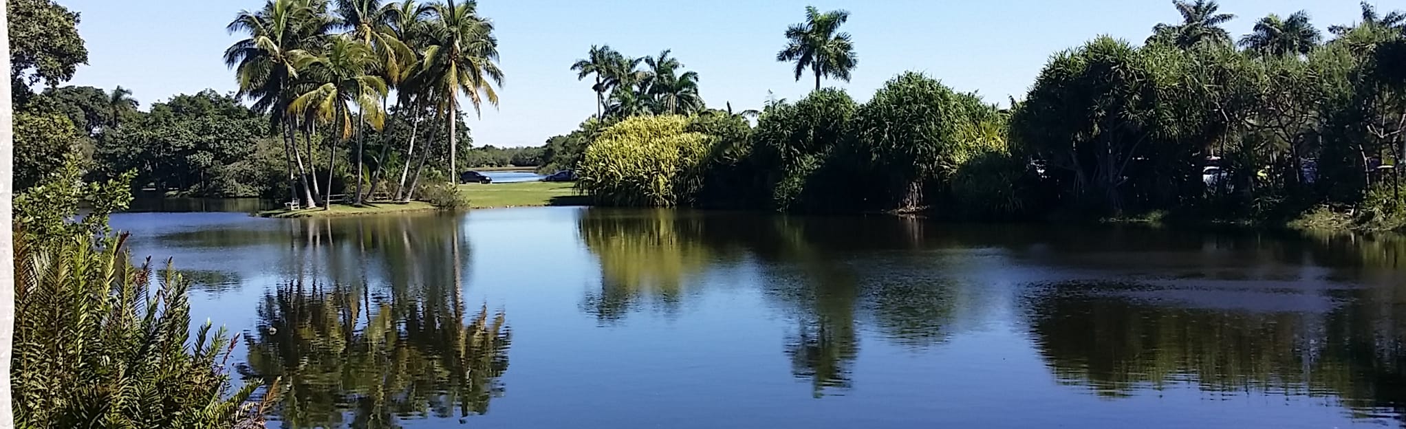 Fairchild Botanical Garden Loop | Map, Guide - Florida | AllTrails