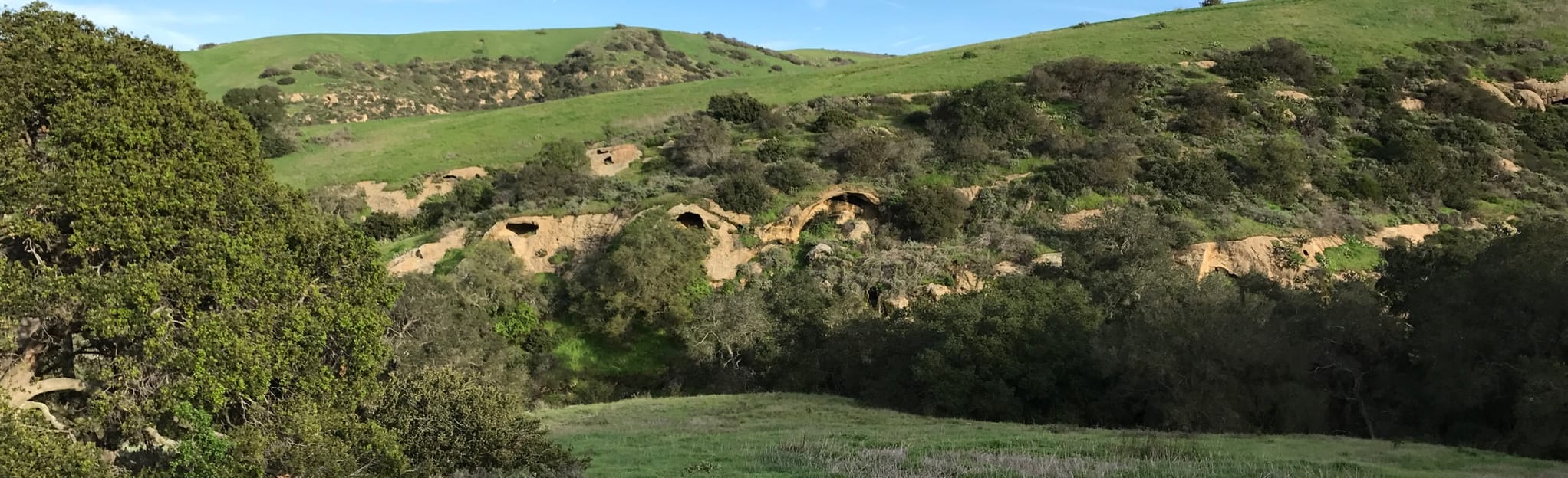 Turtle Ridge to West Fork to East Fork Loop: 101 Reviews, Map ...