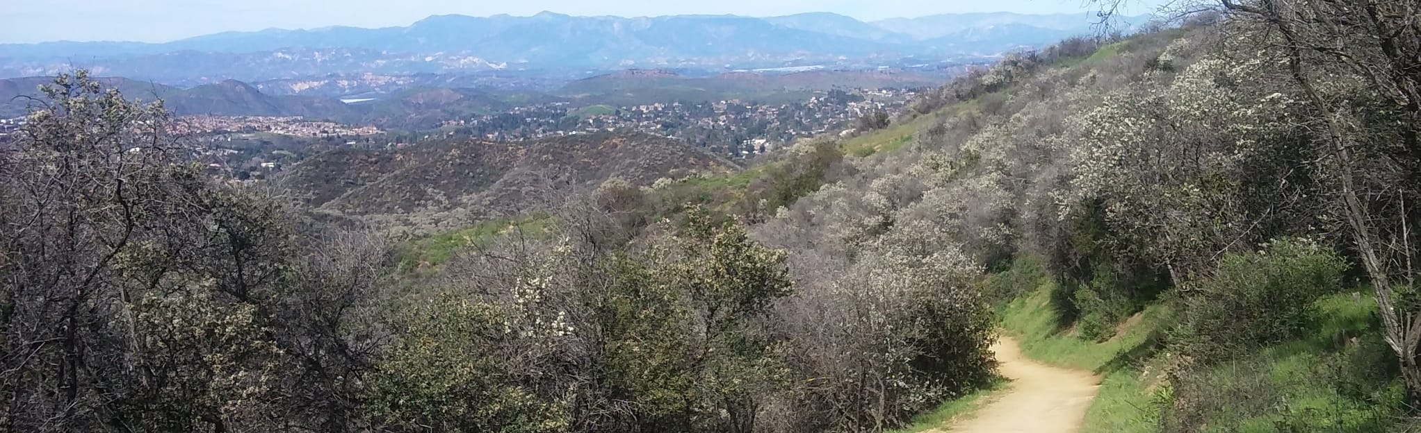 Los Robles Trail Via Oak Creek Canyon Trail: 187 Reviews, Map ...