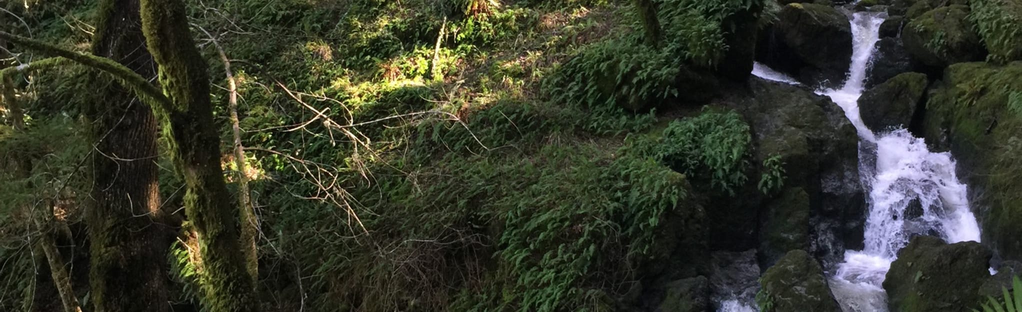 Cataract Falls Trail, Kent Trail, and Helen Markt Trail Loop ...