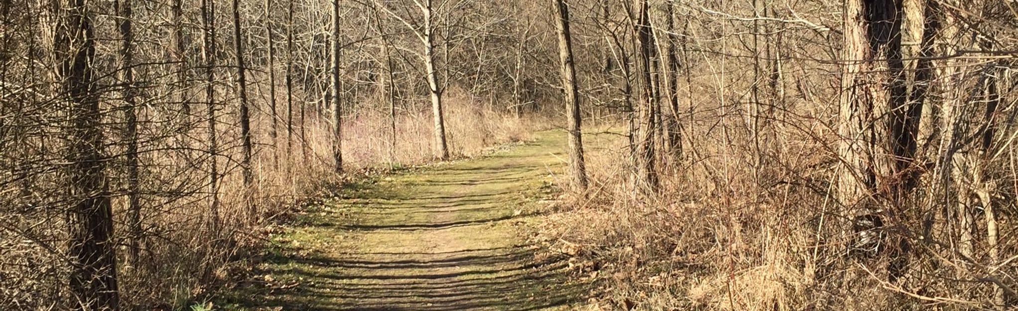 Ellis Park to Blanton Woods Trail, Indiana - 211 Reviews, Map | AllTrails