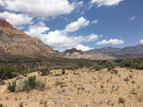 10 Best Trails and Hikes in Blue Diamond | AllTrails