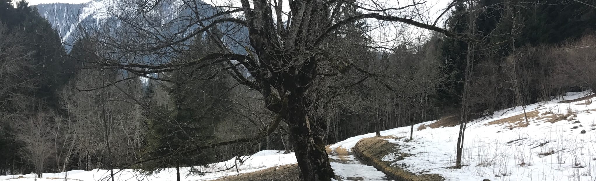 Alta Grotta di Vinigo, Veneto, Italy - 2 Reviews, Map | AllTrails