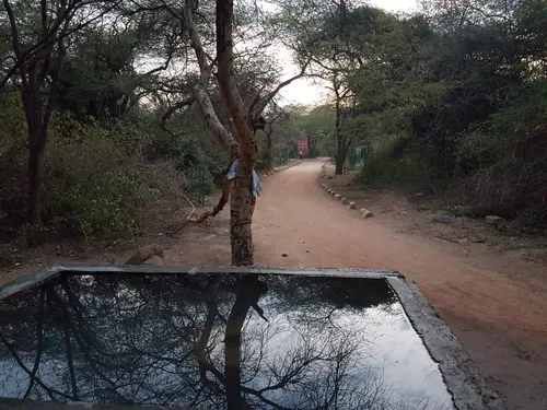 Best Hikes and Trails in Sanjay Van | AllTrails