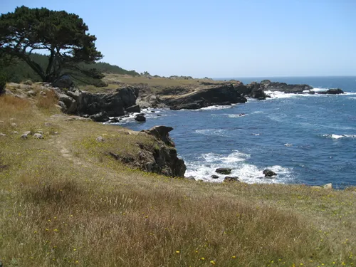 Best 10 Hikes and Trails in Salt Point State Park | AllTrails