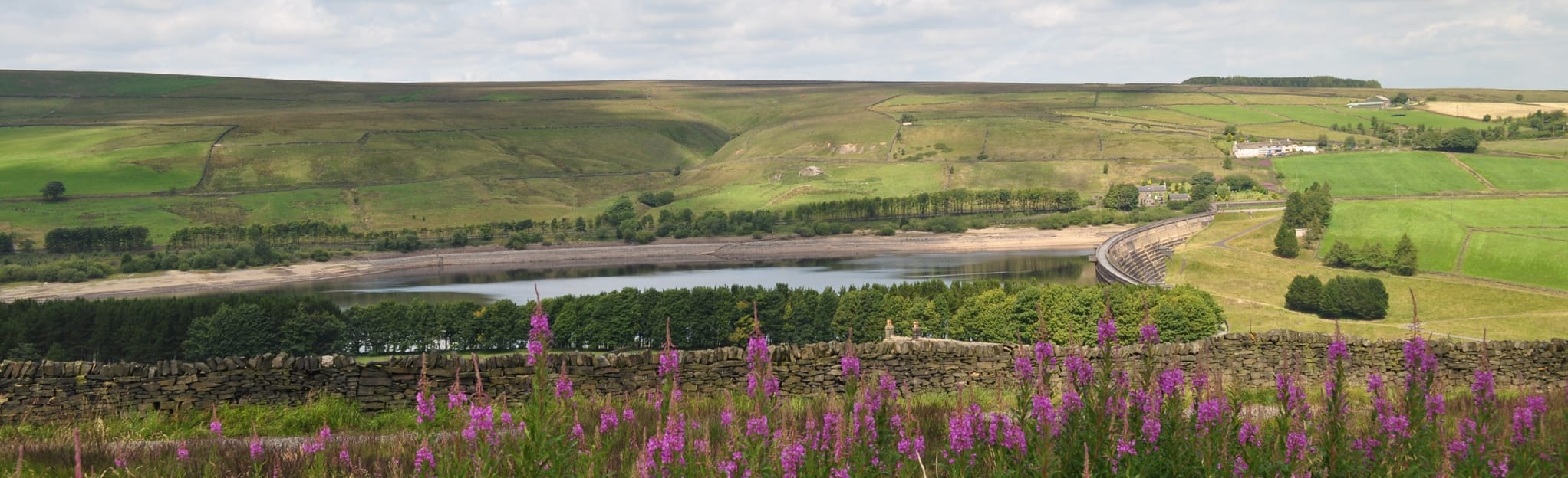 Green Withens Reservoir and Dog Hill - West Yorkshire, England | AllTrails