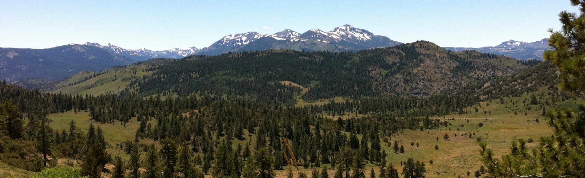 Monitor Pass Drive: 12 Reviews, Map - California | AllTrails