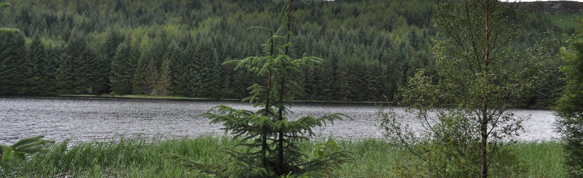 Falls of Dochart and Lochan Lairig Cheile: 5 Reviews, Map - Stirling ...