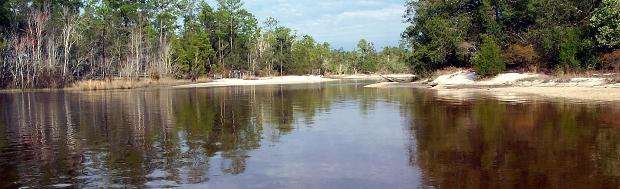 Down the Blackwater River Canoe/Camping, Florida - 7 Reviews, Map ...