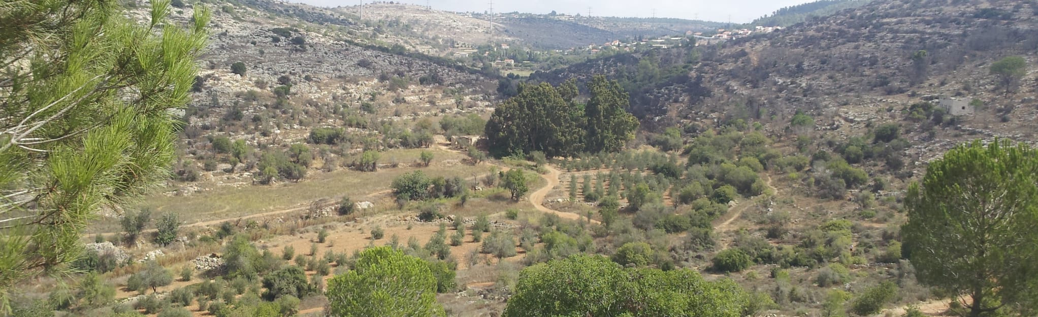 Horvat Hanot and Ein Mata, Jerusalem, Israel - 8 Reviews, Map | AllTrails