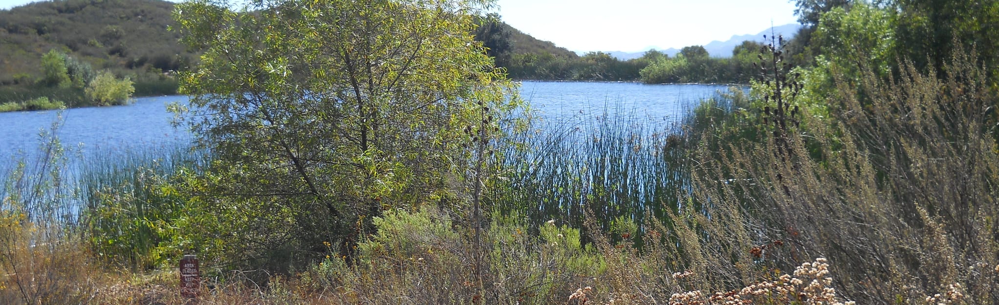 Daley Ranch Creek Crossing Loop | Map, Guide - California | AllTrails