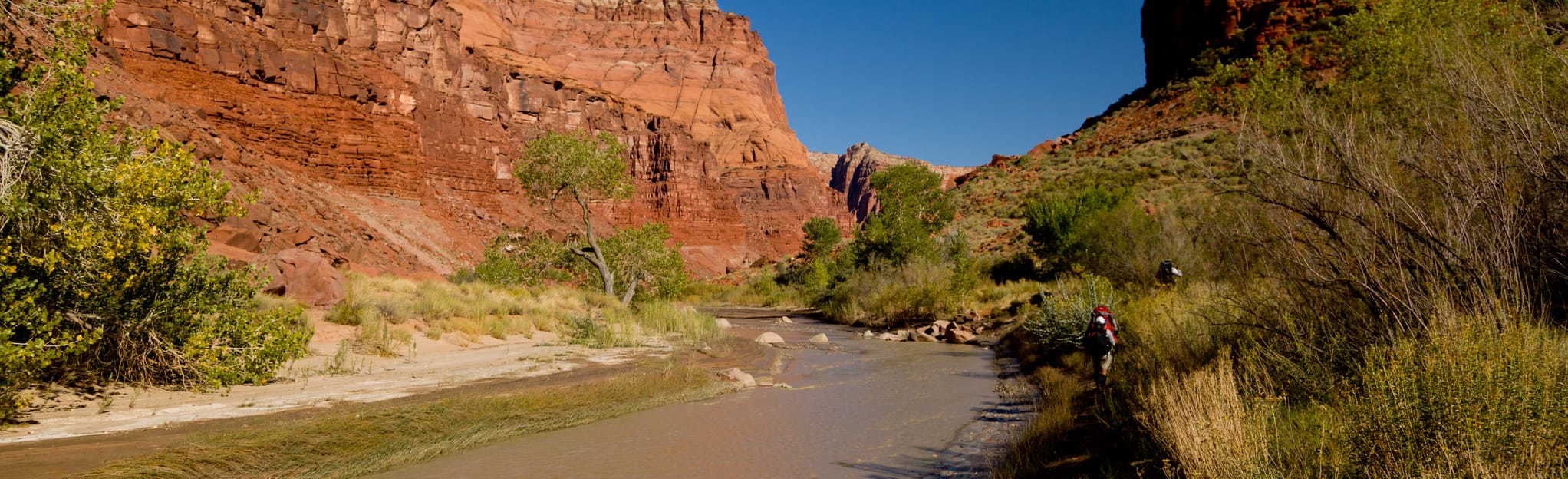 White House Trail to Lees Ferry, Utah - 70 Reviews, Map | AllTrails